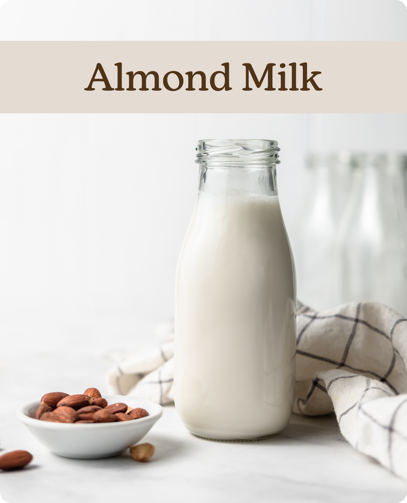 Almond Cow Starter Set: Plant-Based Milk Machine + Bulk Ingredients ...