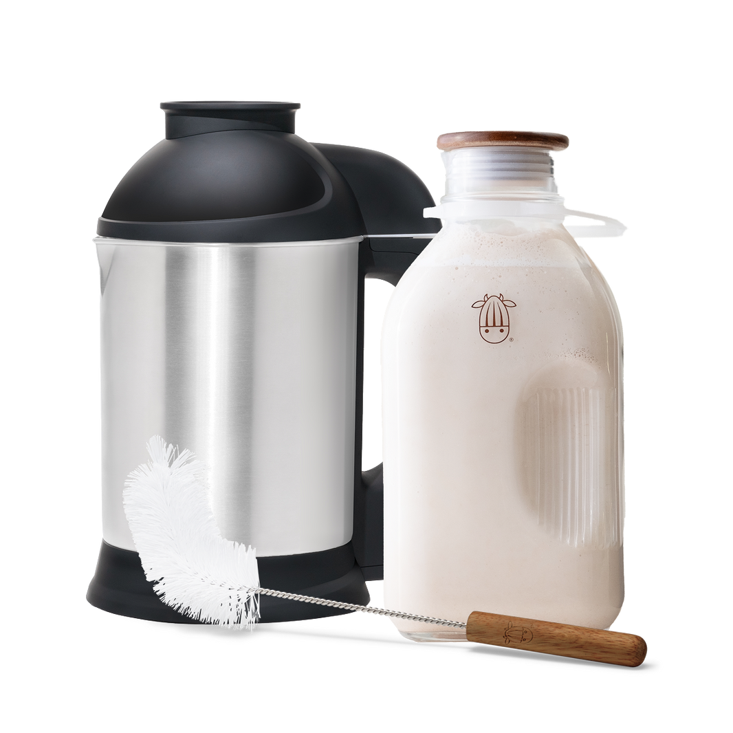 How To Make Oat Milk At Home — Almond Cow Recipes