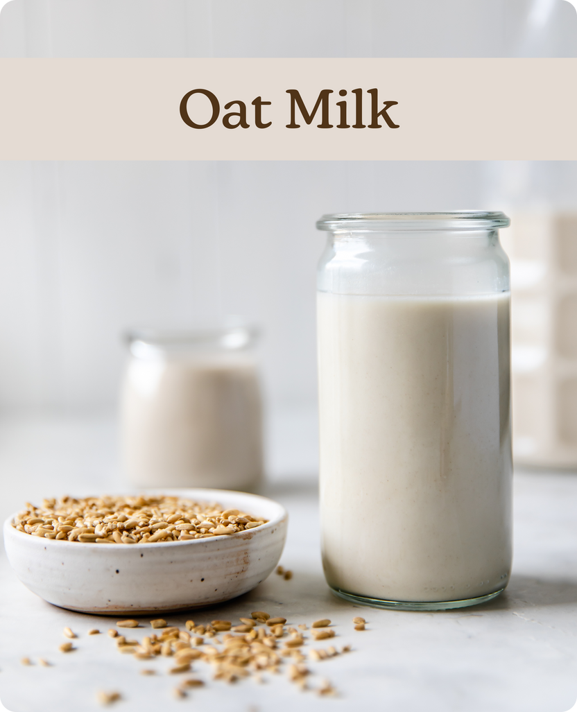 Almond Cow Pro Milk Machine - Pre-Order Now for Professional-Grade ...